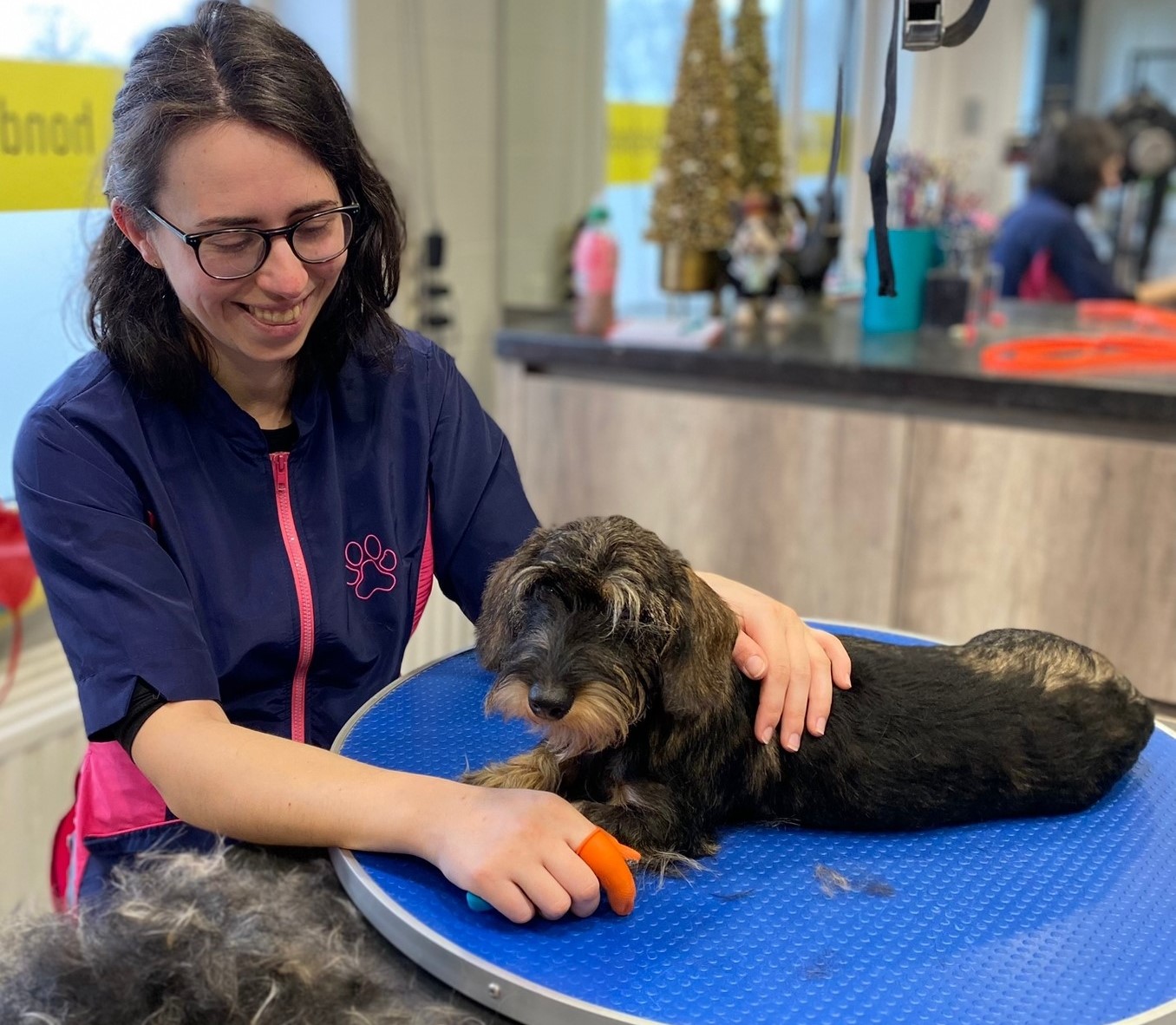 Trimsalon - Furbalicious - Hondentrimsalon